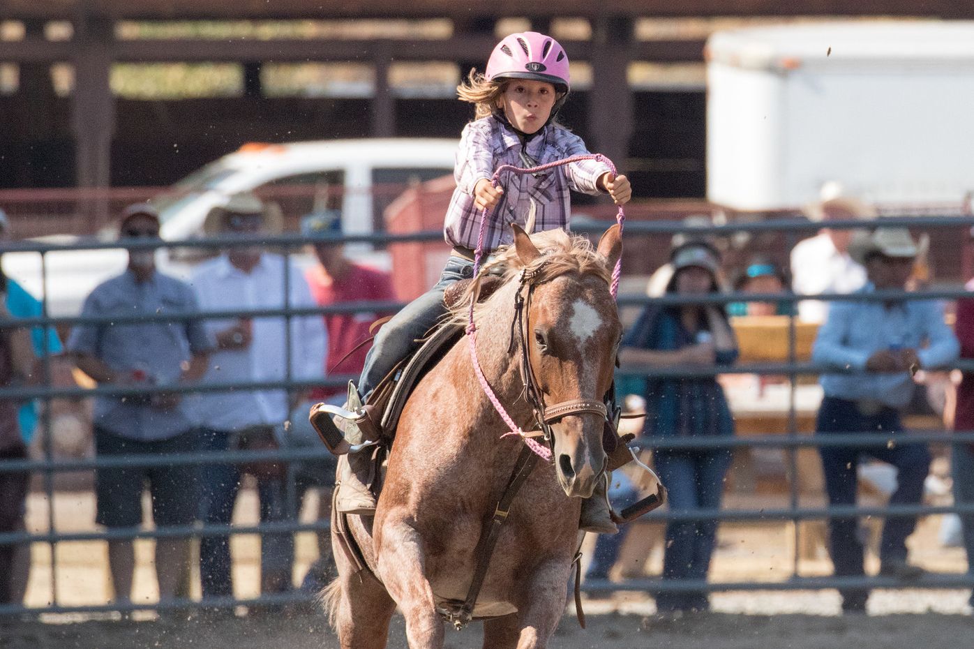 Nicola Valley Rodeo Association | Home