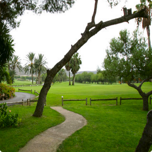 EL PLANTIO Golf, Alicante. Green Fees, Reviews