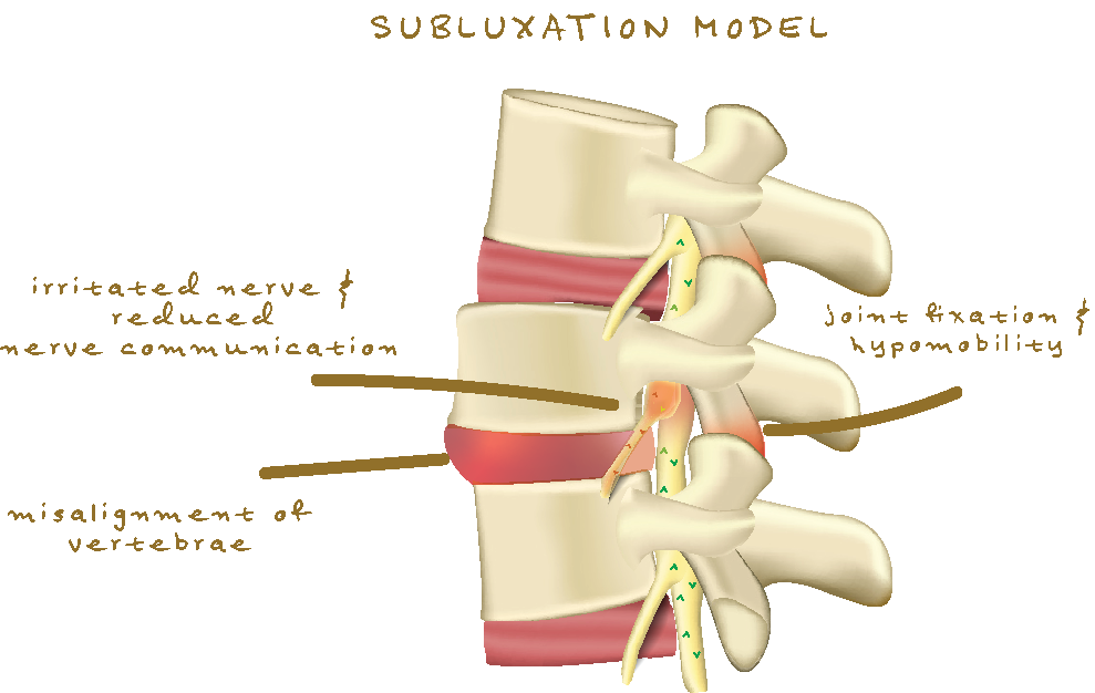 The-Back.Space | Chiropractic Studio | Eagleview Town Center