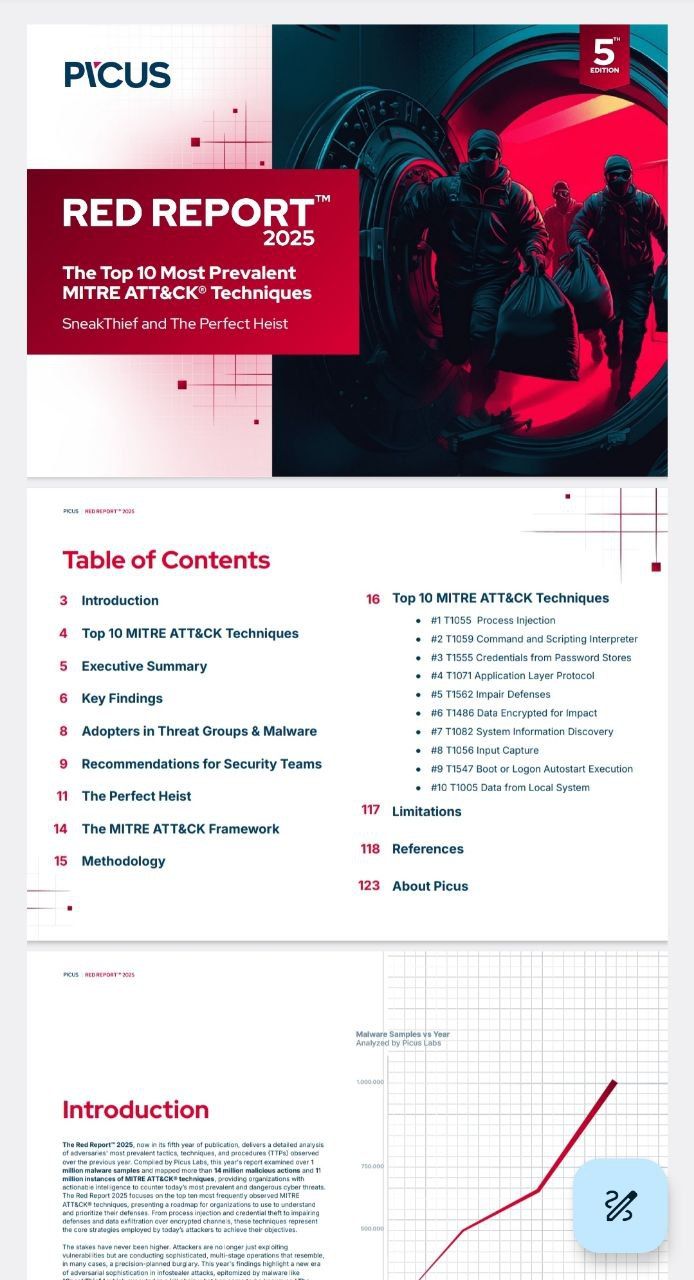 Picus Red Report 2025