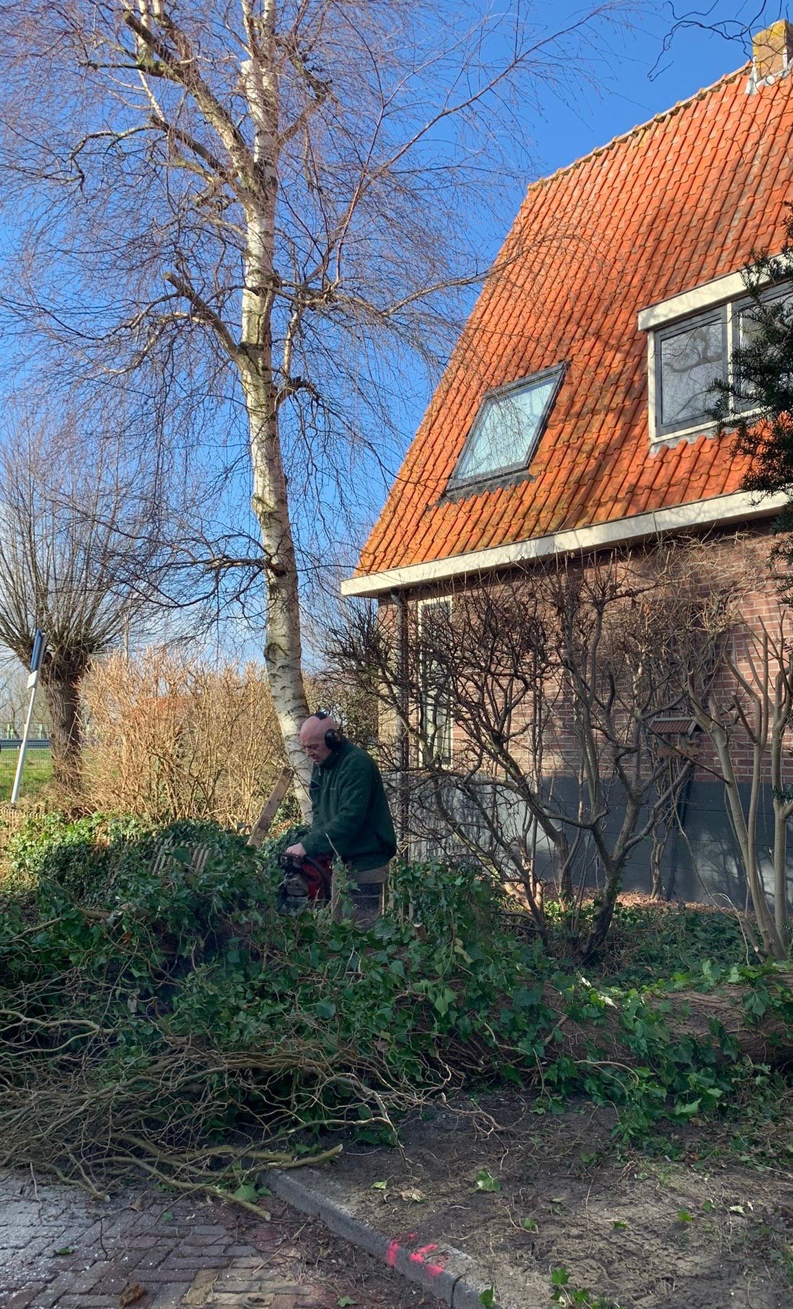 Projecten | Tuinvoorbeelden & Boomverzorging Ilpendam