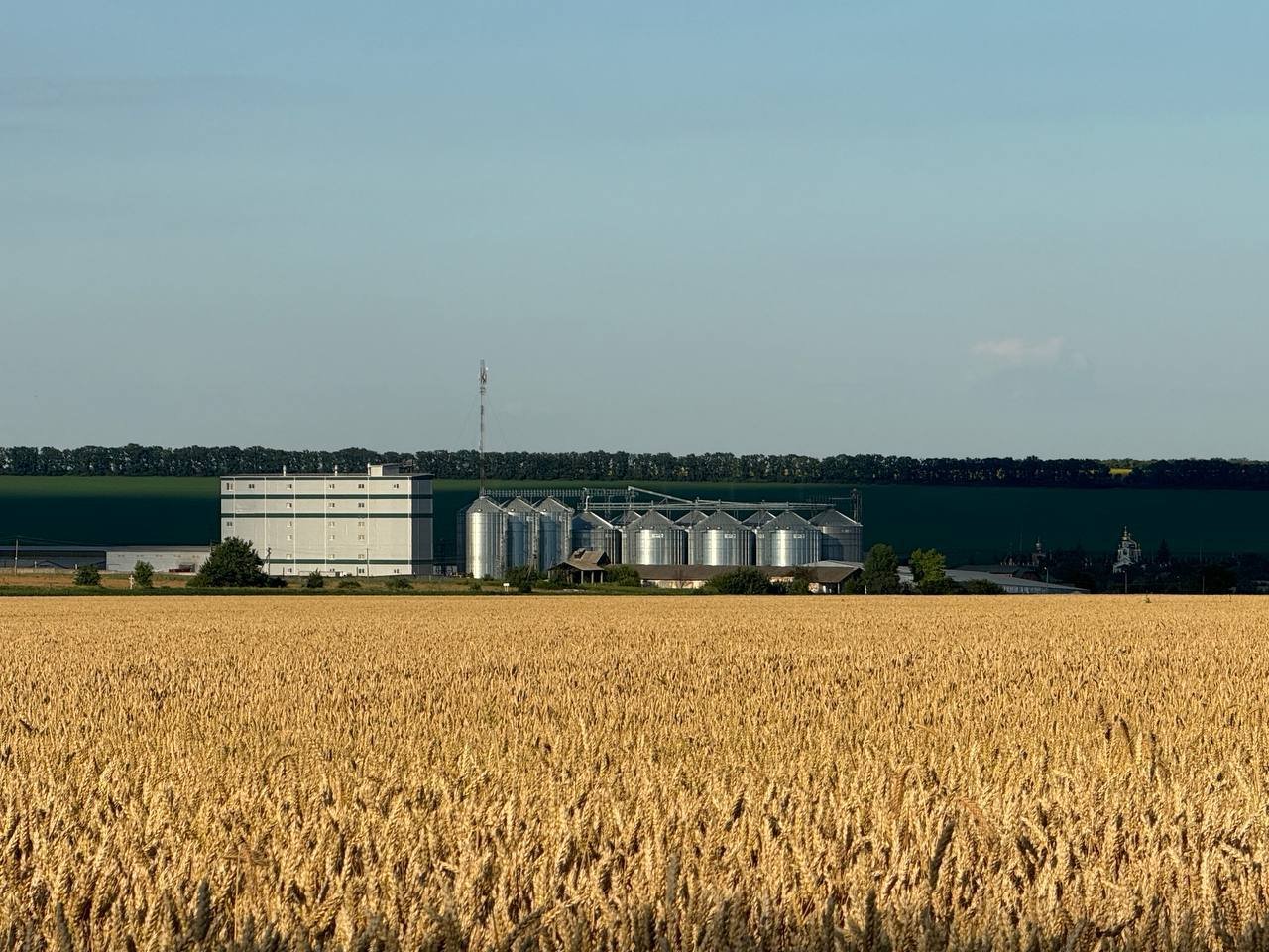 Grain Hub AG | Ukrainian food and agricultural products