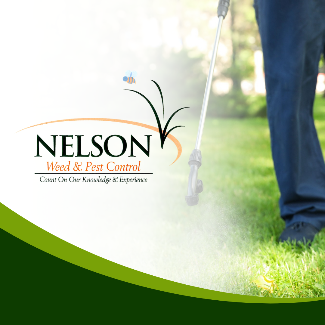 Contact Nelson Weed & Pest Control in Peoria, AZ | Request a